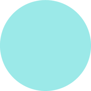 Marco Scheel – Wir sind der Osten